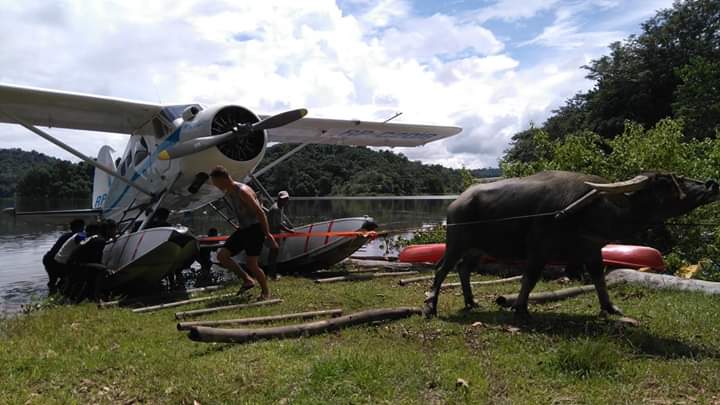 A Journey of a Lifetime: Creating Palawan's First Seaplane Airline
