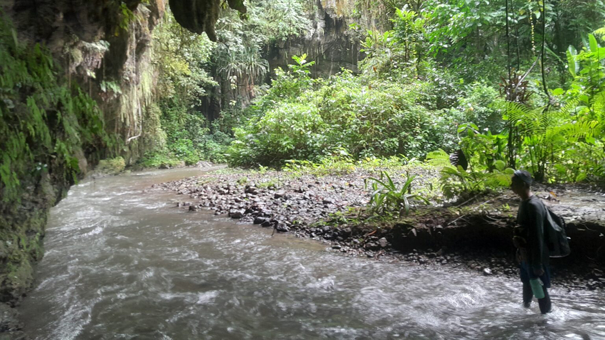 Top 10 Things to Do in Palawan - Unforgettable Adventures!